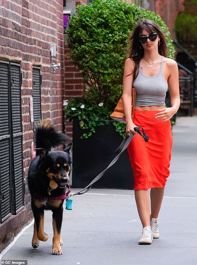 Emily Ratajkowski flashes her washboard abs in tight vest and slinky ...
