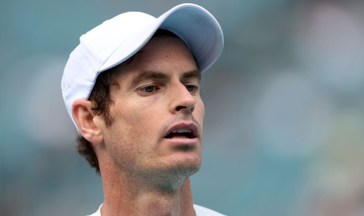 Andy Murray thinks he can win Wimbledon as Brit handed nightmare route ...