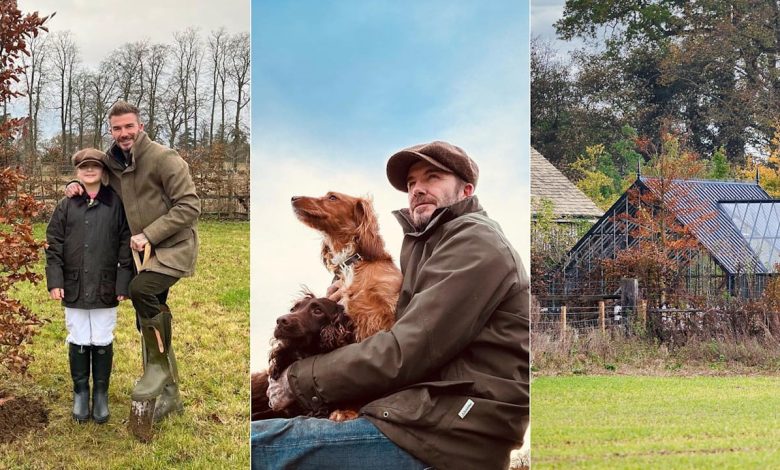 David and Victoria Beckham welcome new addition to sprawling £12m ...